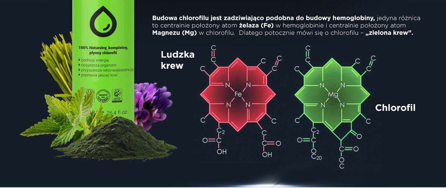 Chlorofil to zielona krew. VIDEO