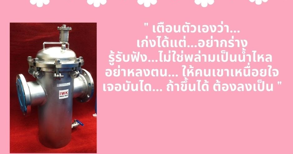 StrainerFiltervalve: strainer process engineering