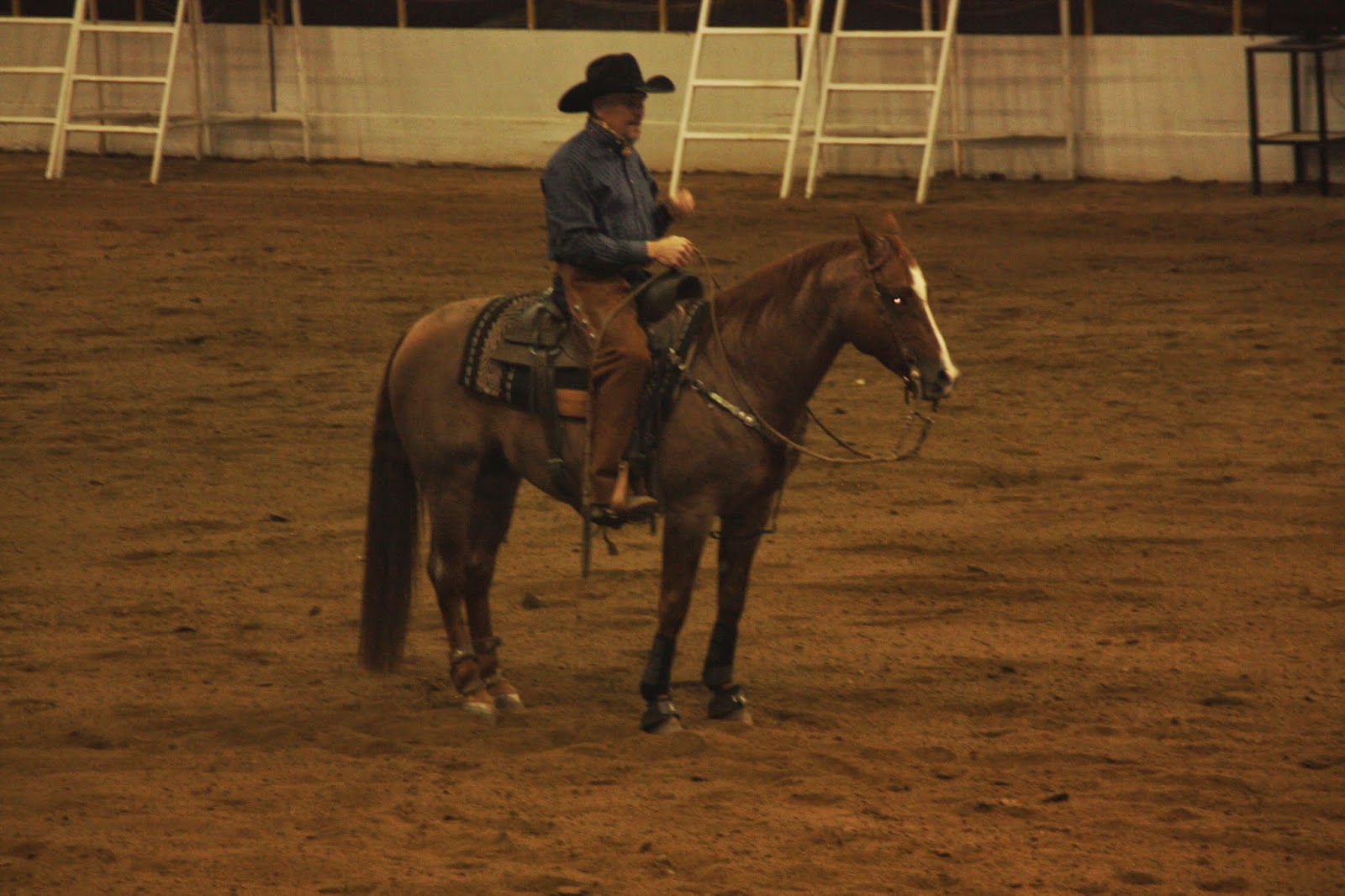 Bits and Spurs: 2015 RAM Invitational Freestyle Reining