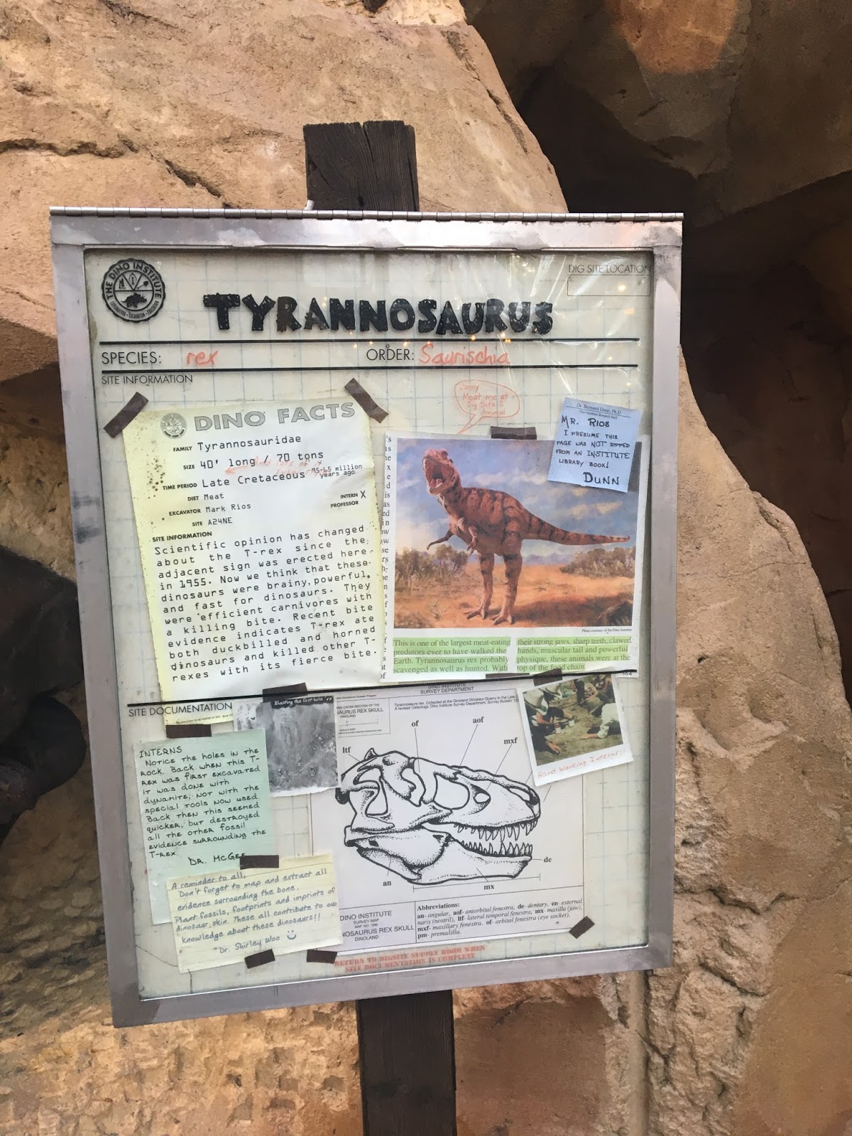 The Geology P.A.G.E.: Dinos in Pop Culture - Animal Kingdom: The Boneyard