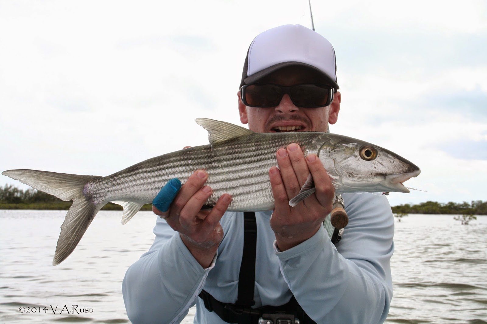 Vladys Fly Fishing Lair: Puros, ron y macabi...