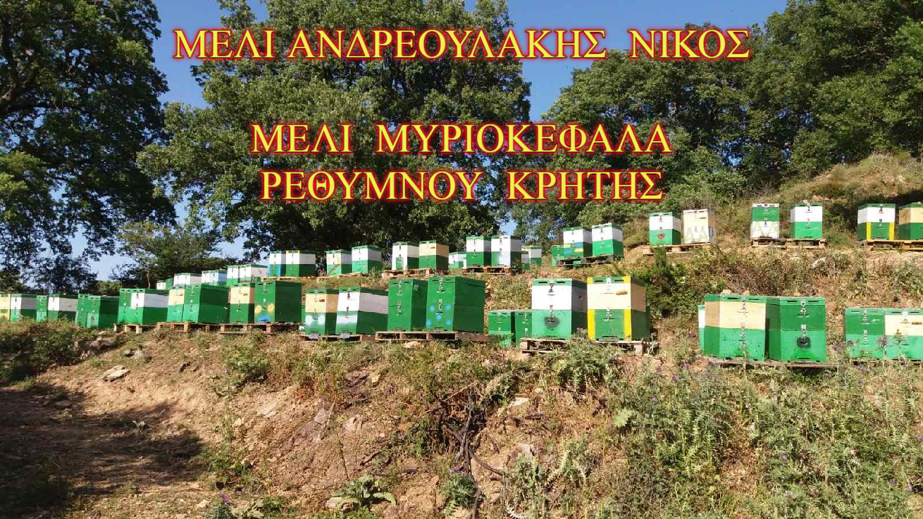 ΜΕΛΙ ΡΕΘΥΜΝΟΥ ΚΡΗΤΗΣ: Διατροφική αξία μελιού Ανδρεουλάκη Νίκου