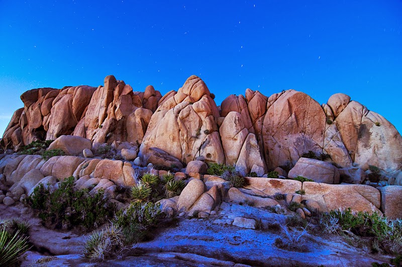 :: Alexandra Proaño 3D - Green Pear Diaries ::: Toby Keller: Fotografía ...