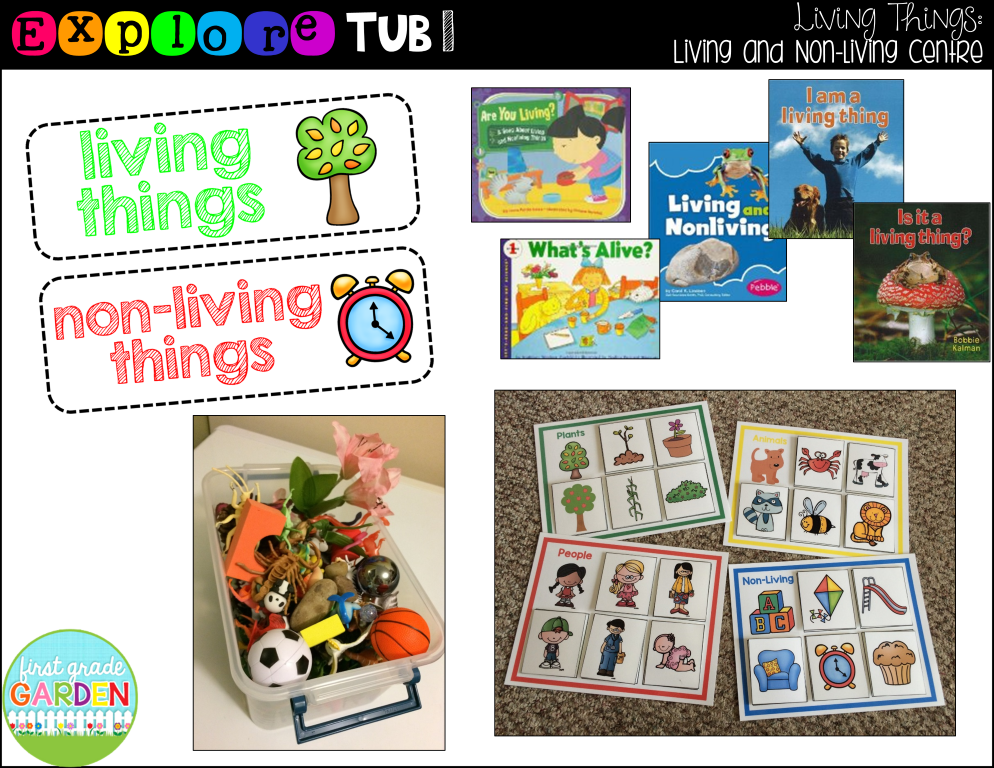 Non Living Things In Nature