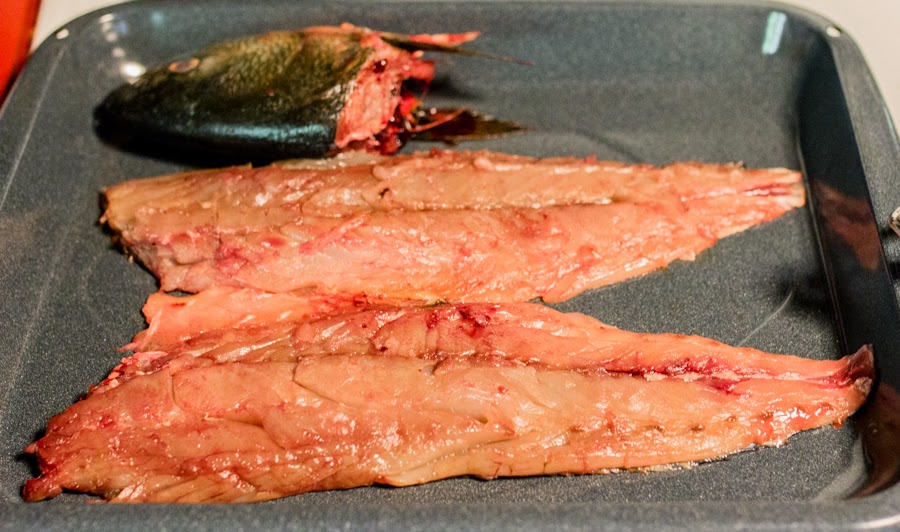 Curing Bluefish like Gravlax