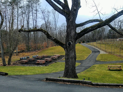 Another Mile Another Destination Blog: Paradise Springs Winery, Clifton ...