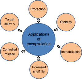 Encapsulated tablet system: Future Requirements