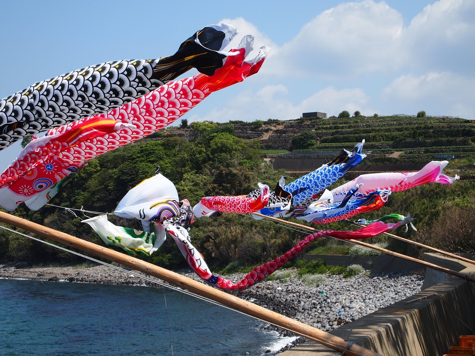 Dream Tours Japan: Flying Carp: Nagasaki and Fukuoka Prefectures