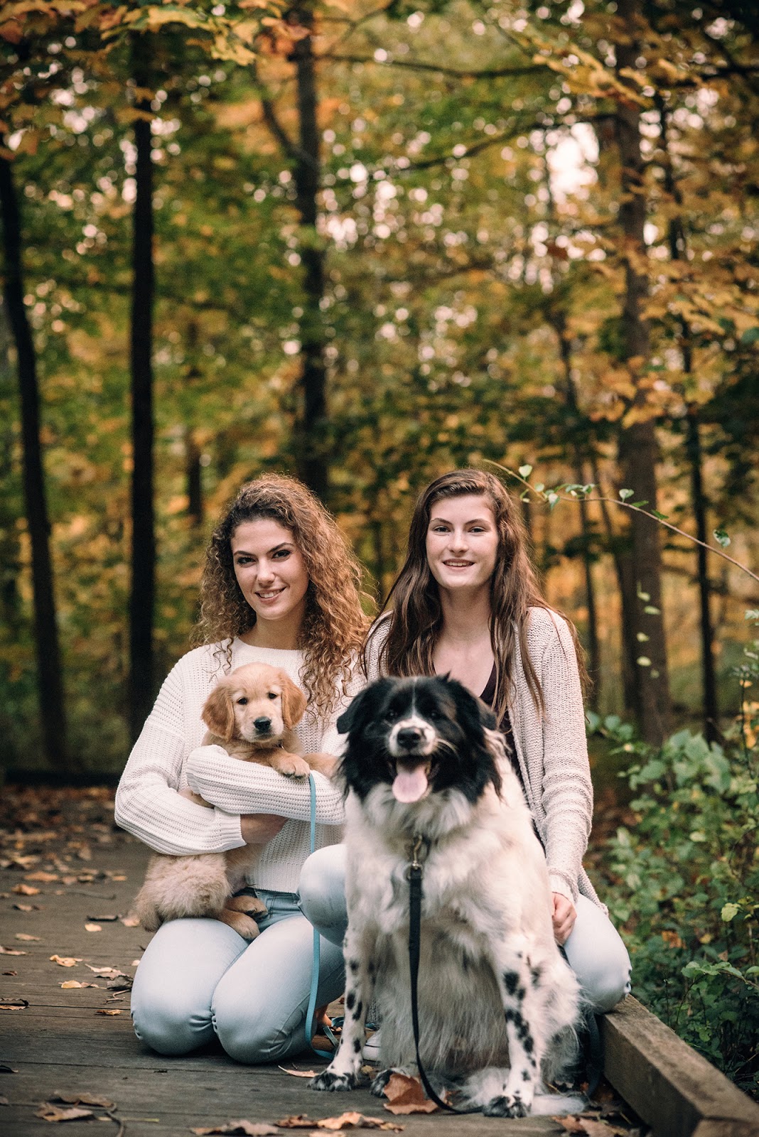 Andrew Potter Photo Blog: Erica Family Portraits