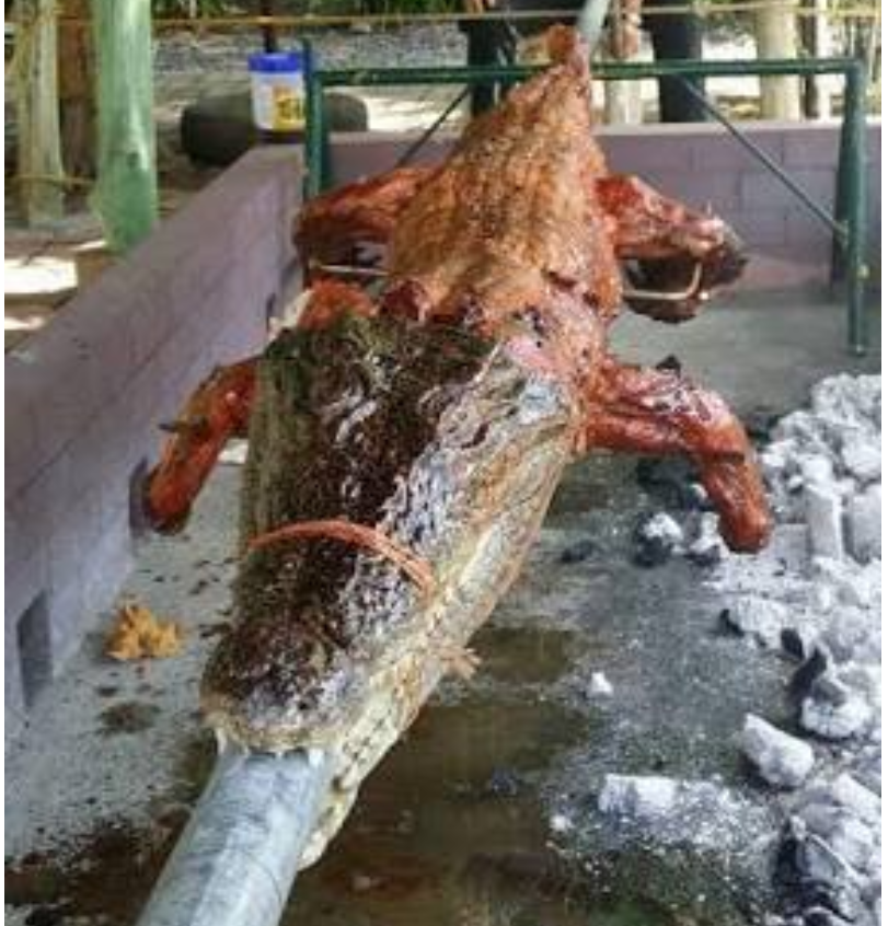 Exotic Foods in the Philippine (Would You Care for a Bite?)