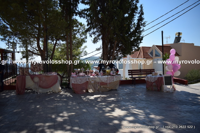 ΒΑΠΤΙΣΗ ΑΓΙΟΣ ΓΕΩΡΓΙΟΣ ΔΑΣΟΣ ΧΑΙΔΑΡΙΟΥ, ΟΝΕΙΡΟΠΑΓΙΔΑ, FLORAL ...