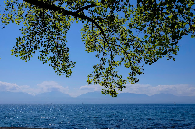 The Month of June - Reflections and Nature