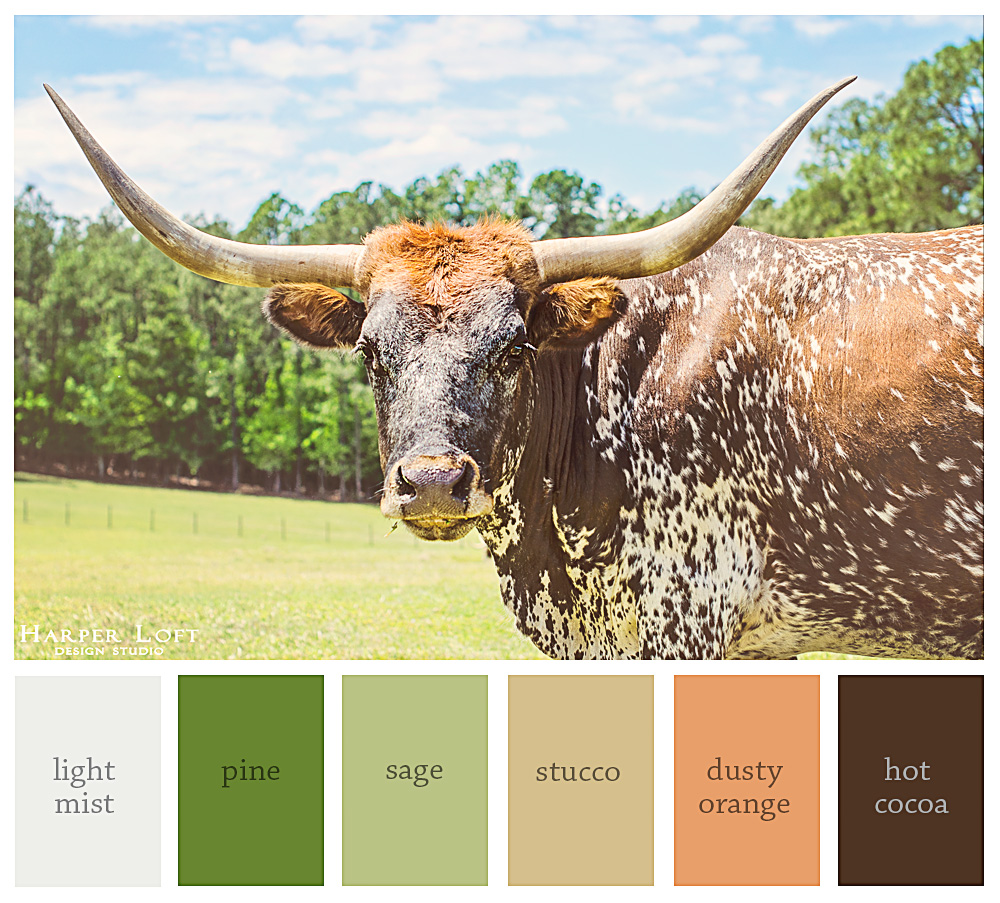Harper Loft Design Studio: Color Palette | Long Day at the Farm