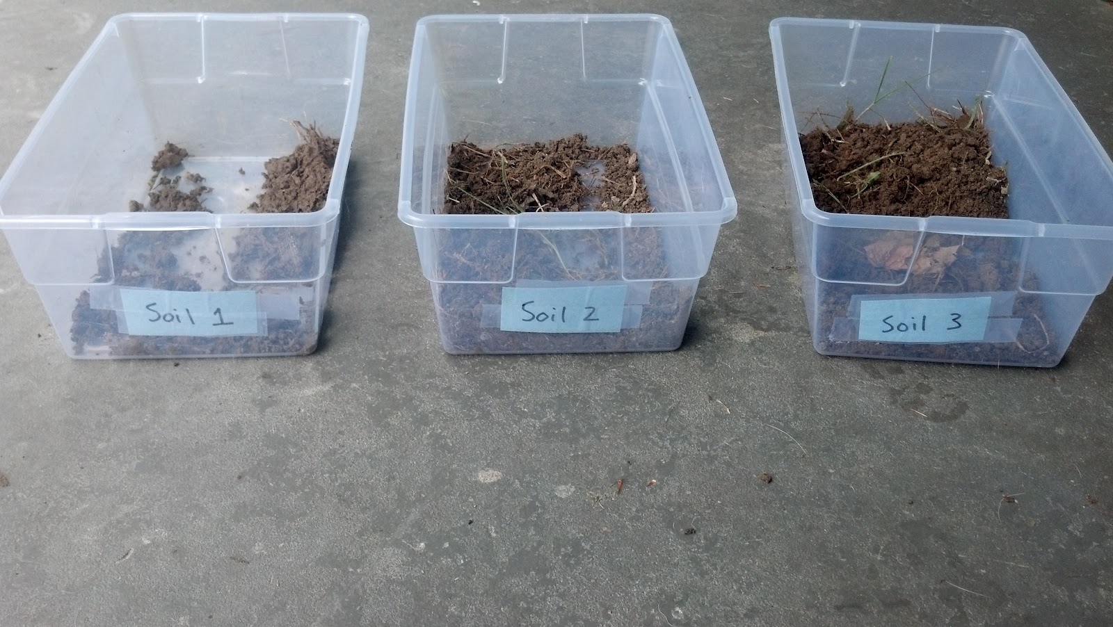 My Science Journey: What is soil made of?