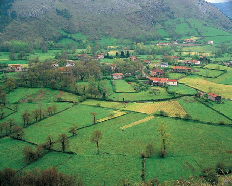La pequeña historia de un estudiante de Historia: Paisajes agrarios ...