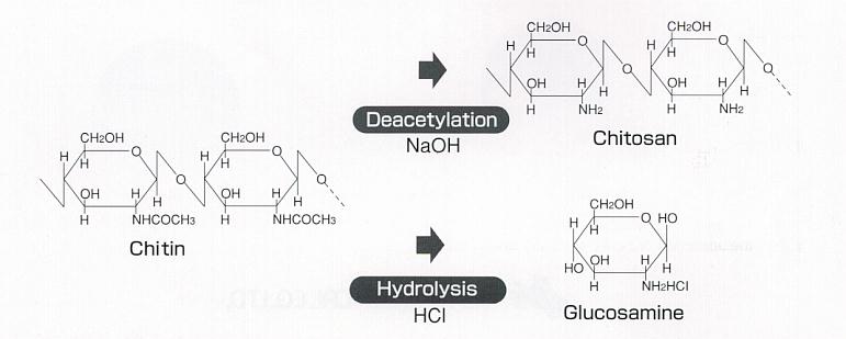 Cara Kerja dan Aplikasi Sel Bahan Bakar Hidrogen, Bahan, Prinsip ...