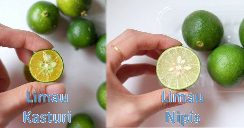 Petua Limau Nipis & Limau Kasturi