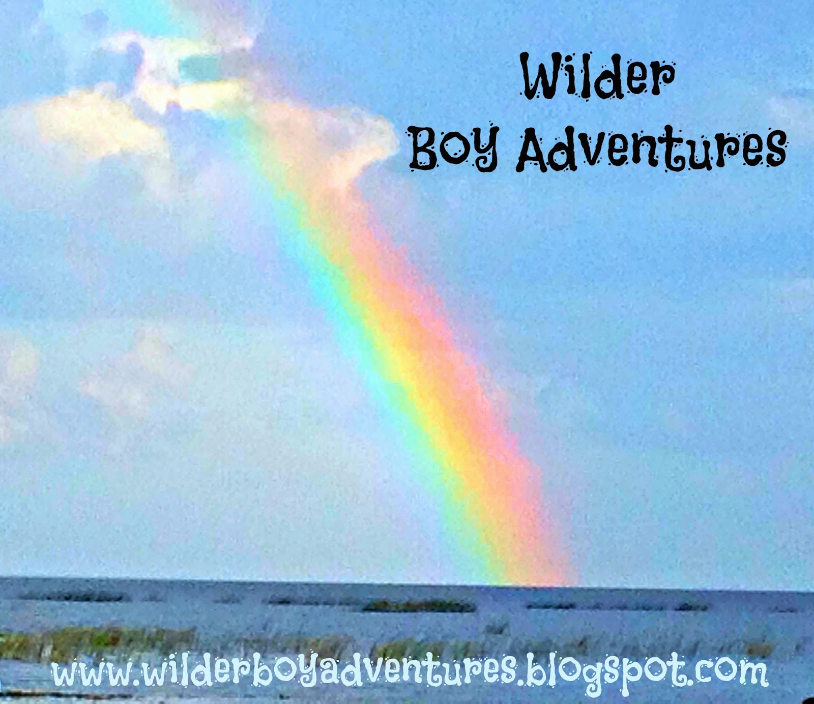 Wilder Boy Adventures