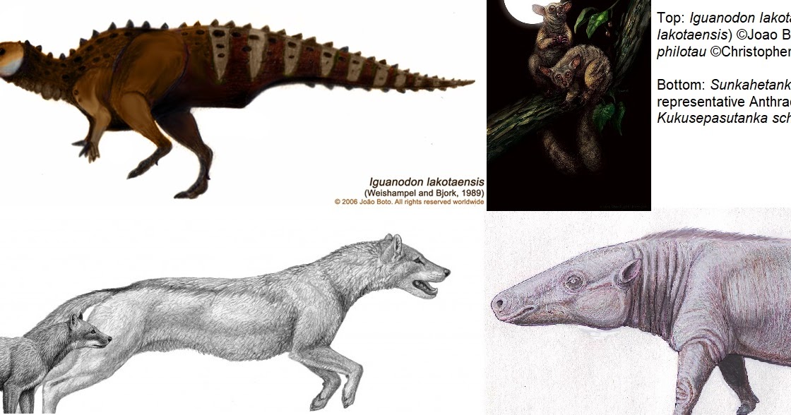 Extinct Animal of the Week: Named Through Sioux