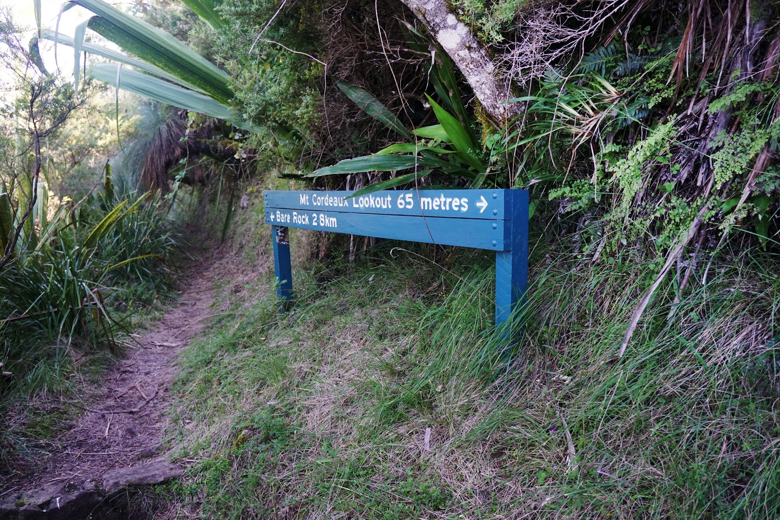 Mt Cordeaux and Bare Rock (Main Range National Park) ~ The Long Way's ...