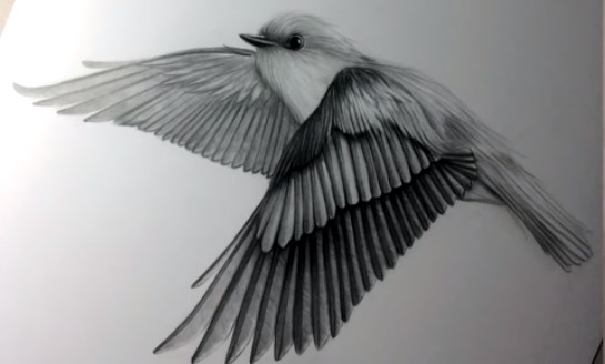 How to Draw Birds Flying Away in the Sky Step By Step