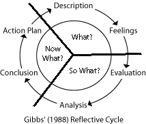 Activity 3: Responses to Finlay’s (2008)’s article