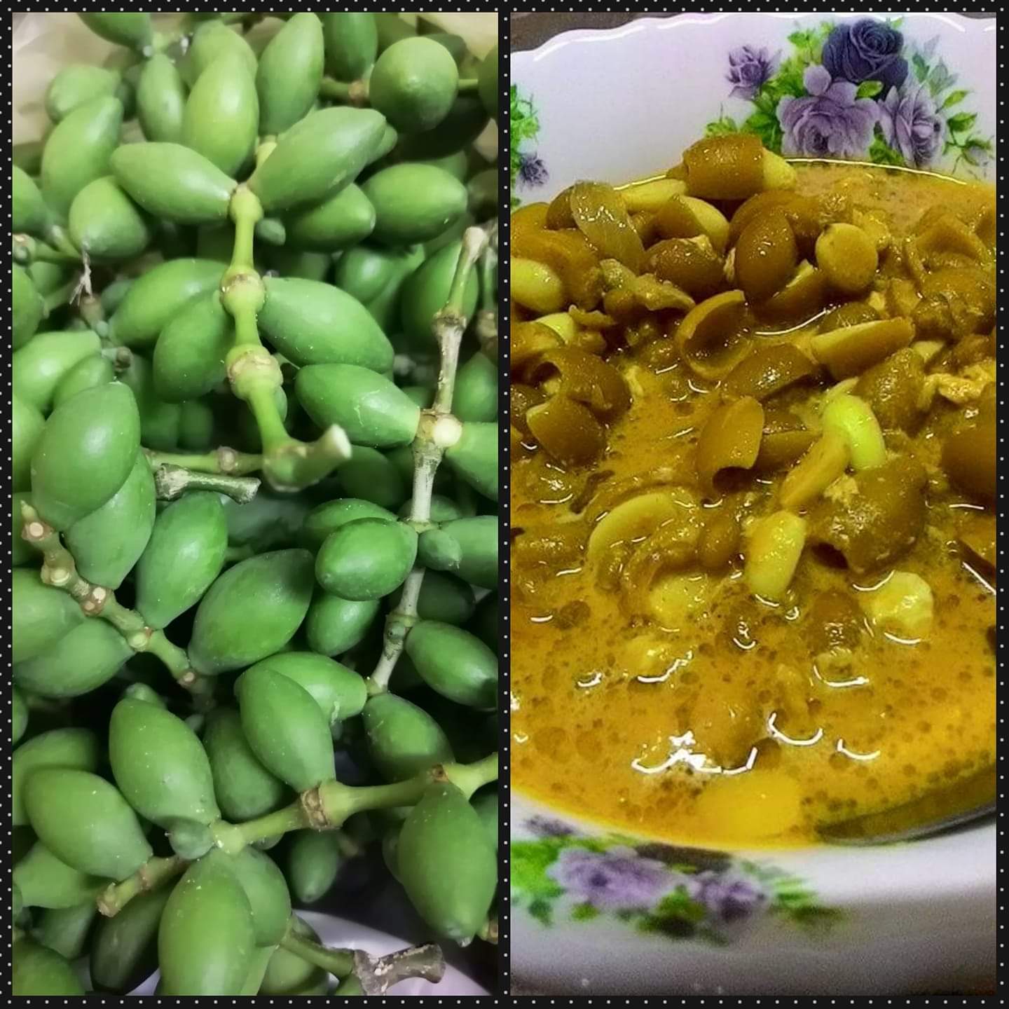 Puteh Dandelion: POKOK BELINJAU @ MELINJAU - GNETUM GNEMON