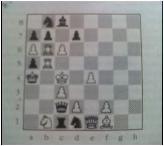 The Bibliophilic Night Owl: On a Chessboard II: The Flanders Panel by ...