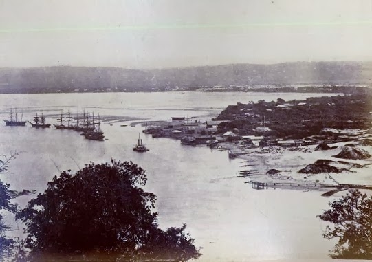 Mole's Genealogy Blog: Arriving at Port Natal ca 1880s