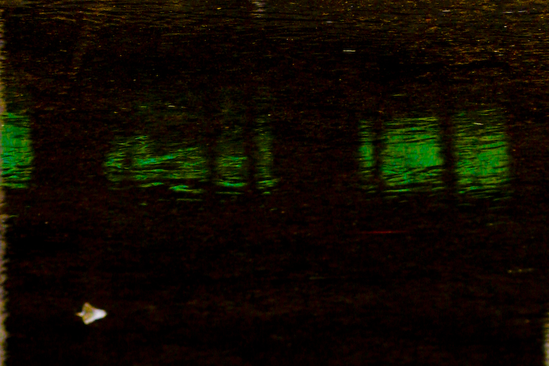 AWOL Monk: haiku: false flesh promises