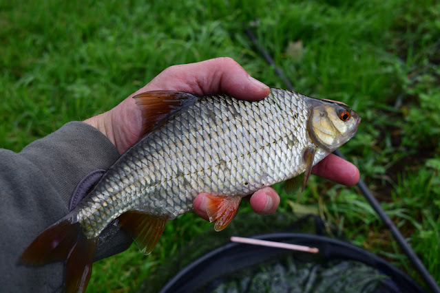 Bureboyblog: it's raining again