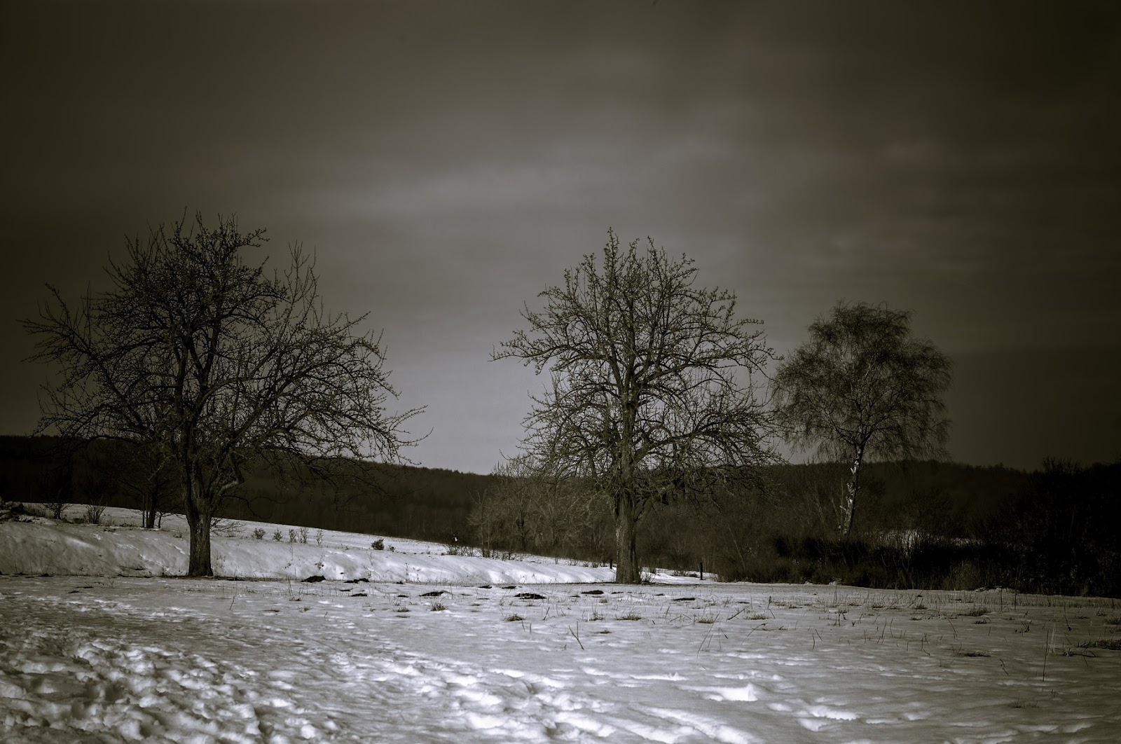 The Wonderful Beauty of Winter : A monotone photograph ~ Matthew G ...