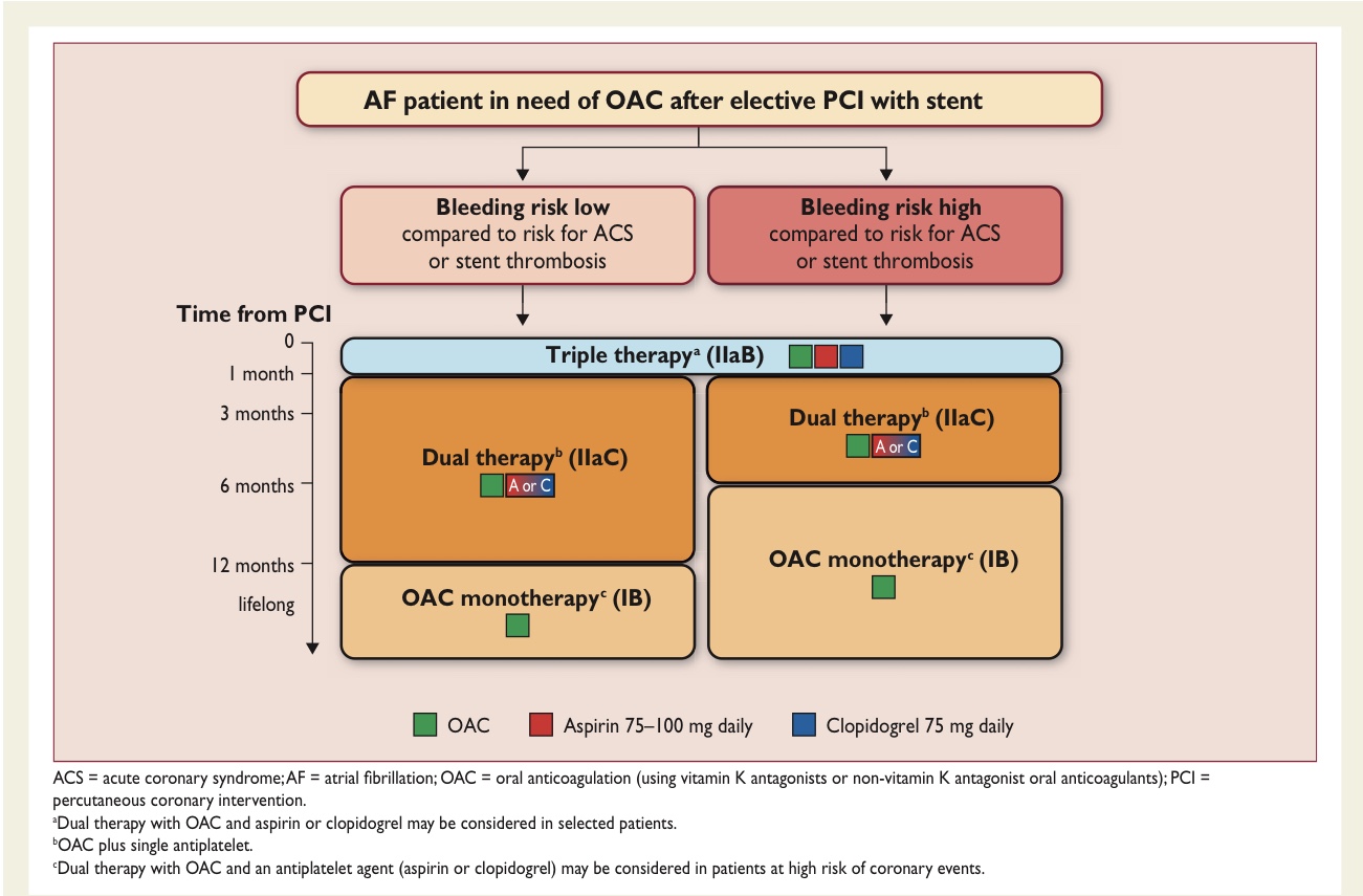 Felippe Dantas Vilela: Triple therapy for atrial fibrillation and ...