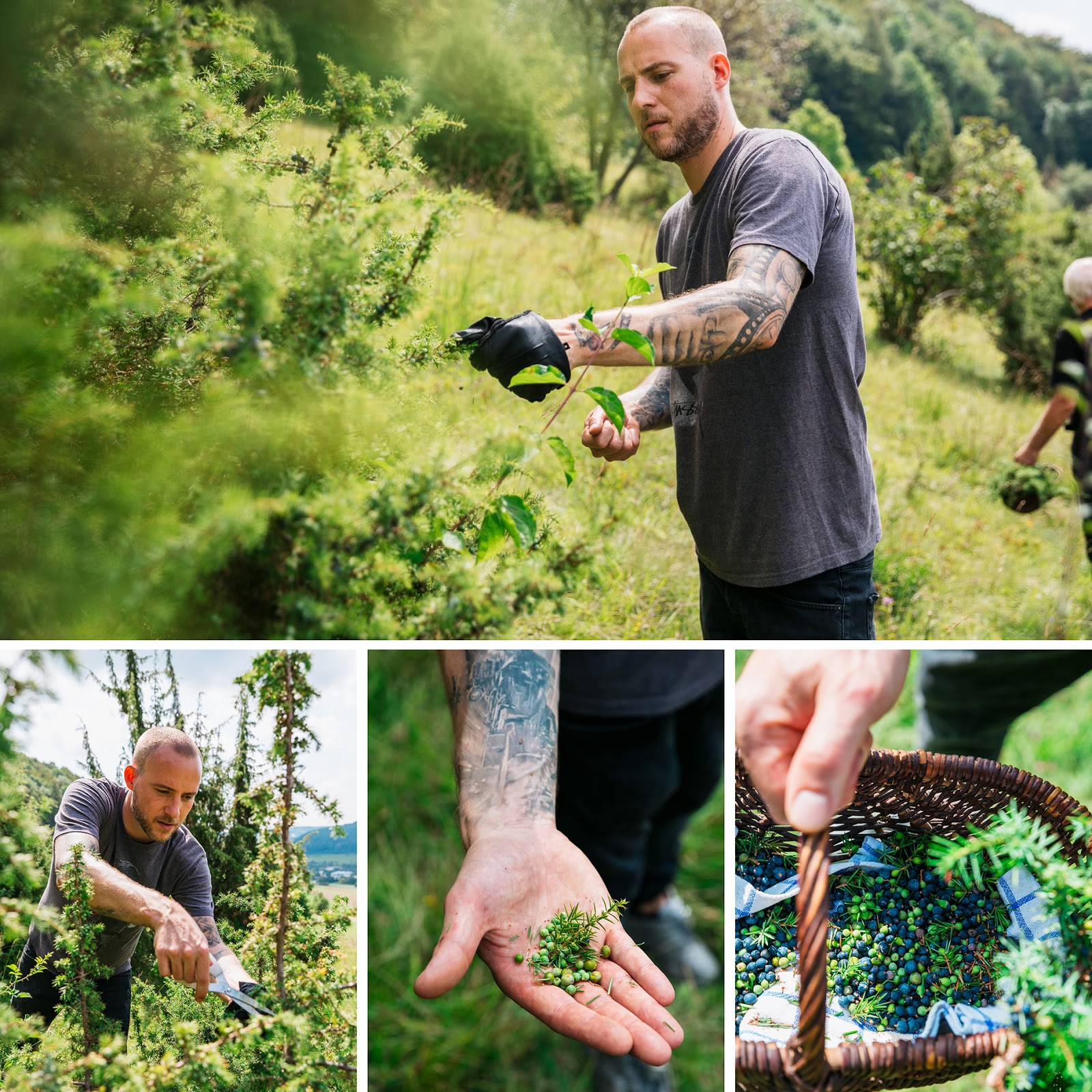 Nicholas Hahn - Taste of Adventure with the Ranger Raptor