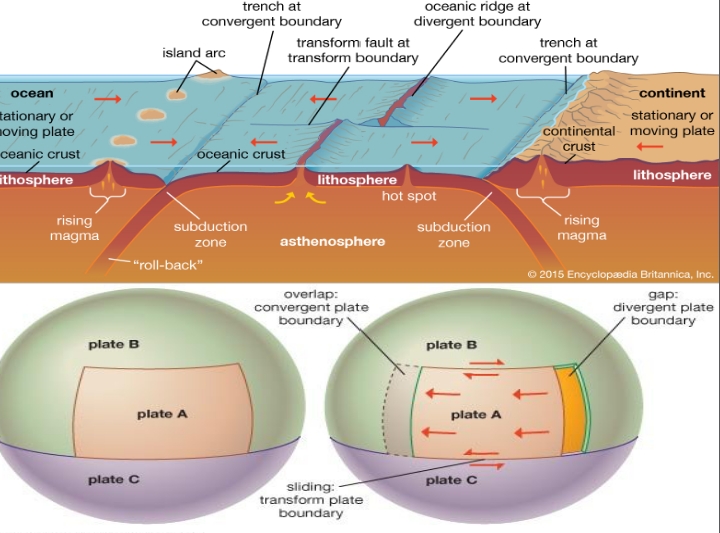 8. Seafloor Spreading And Plate Tectonic Theory