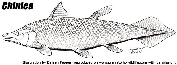 Escenarios prehistóricos: 08/19/11