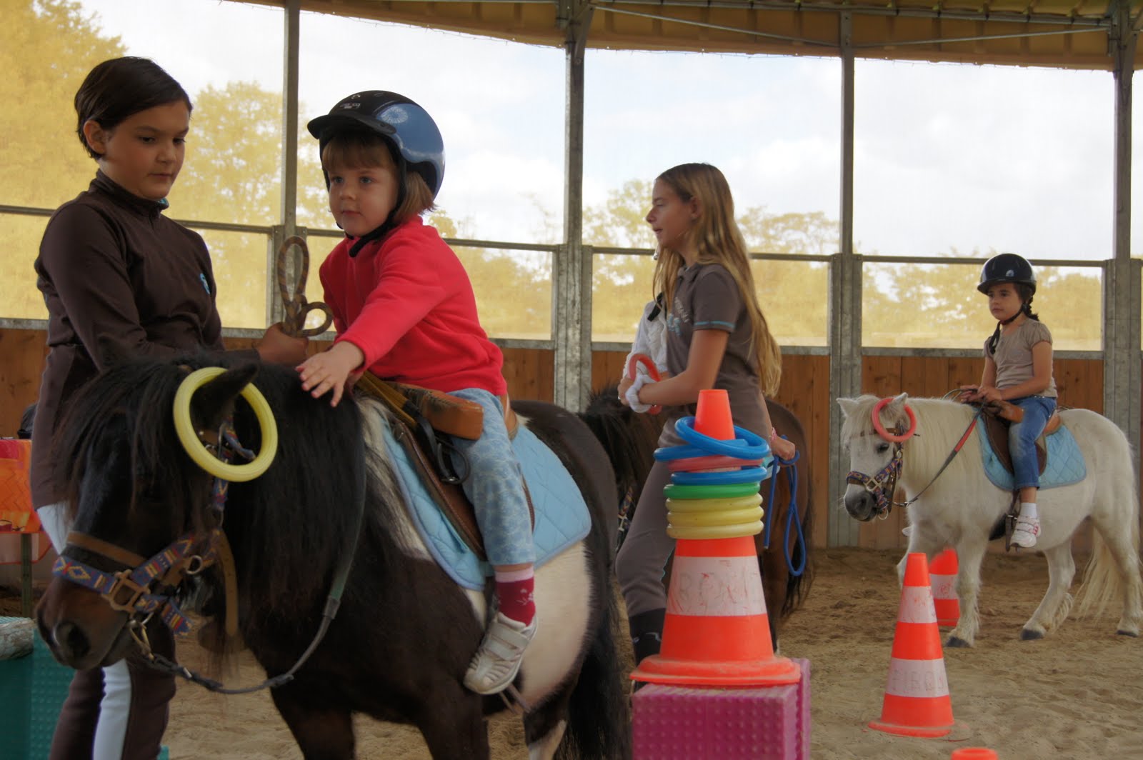 PONEY CLUB PIROUETTE: Séances Baby poney Vacances de TOUSSAINT