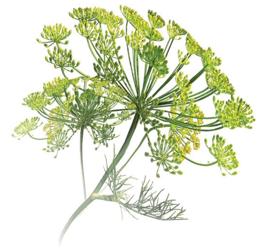 Mama tata i reszta swiata