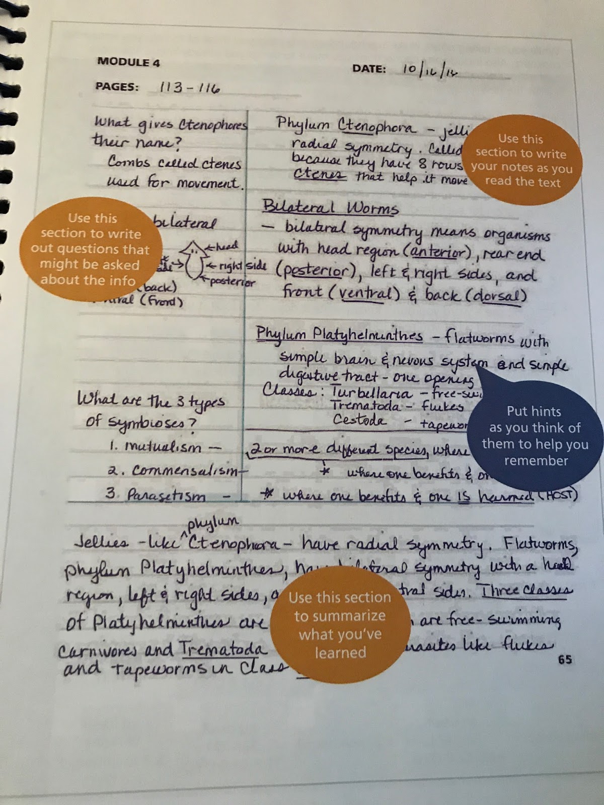 ABC's and Sweet Tea: Marine Biology 2nd Edition Advantage Set from ...