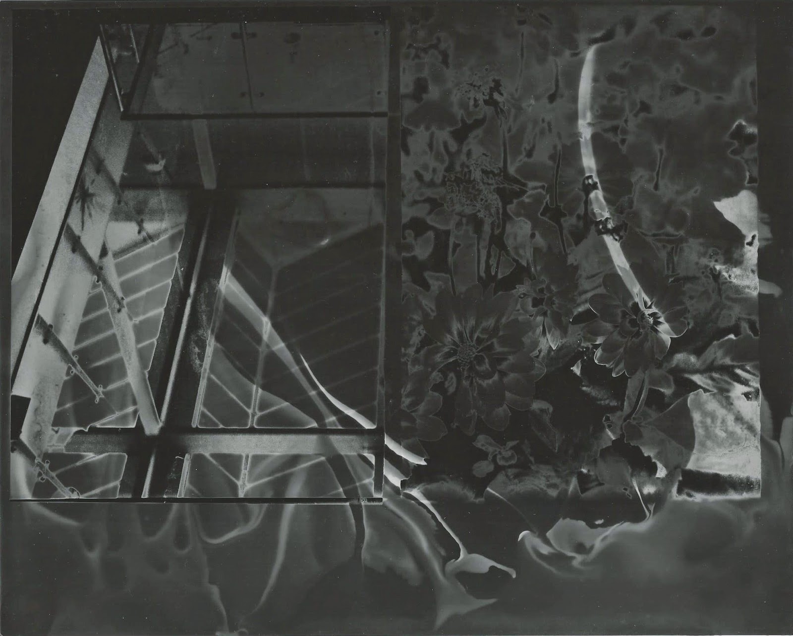 Katie's A-level photography: Solarisation // Experimental