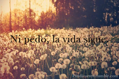 Tumblr flores con frases - Imagui