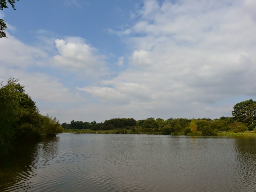 Cindy's Snaps: Hatfield Forest (stomping ground of my Hatfield Broad ...