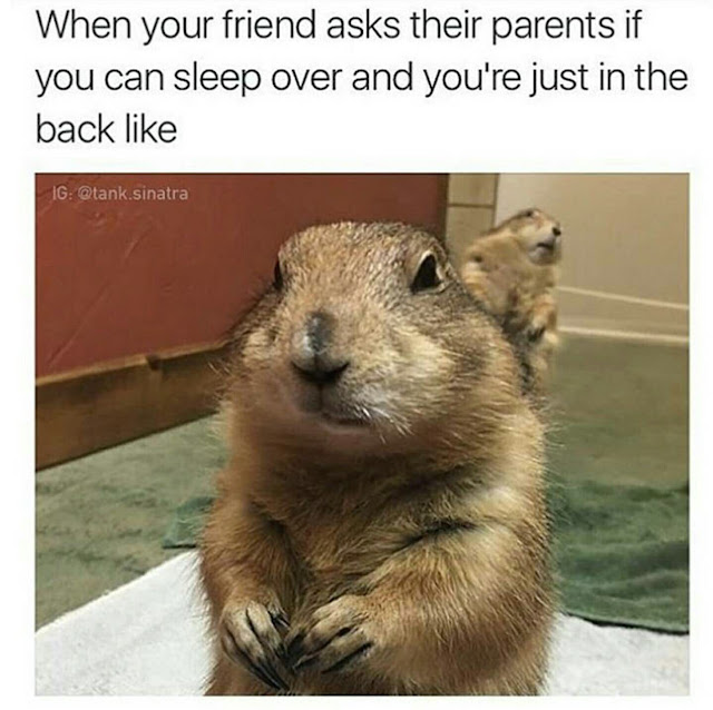 41 Random Memes Images To Blow Your Mind Today | 9GIG