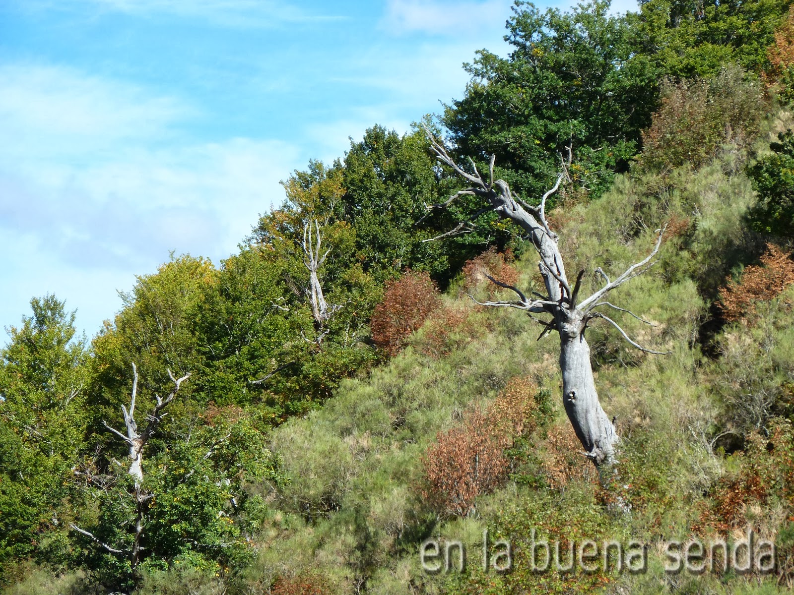 en la buena senda: Puerto Horcadas: ruta de pastores