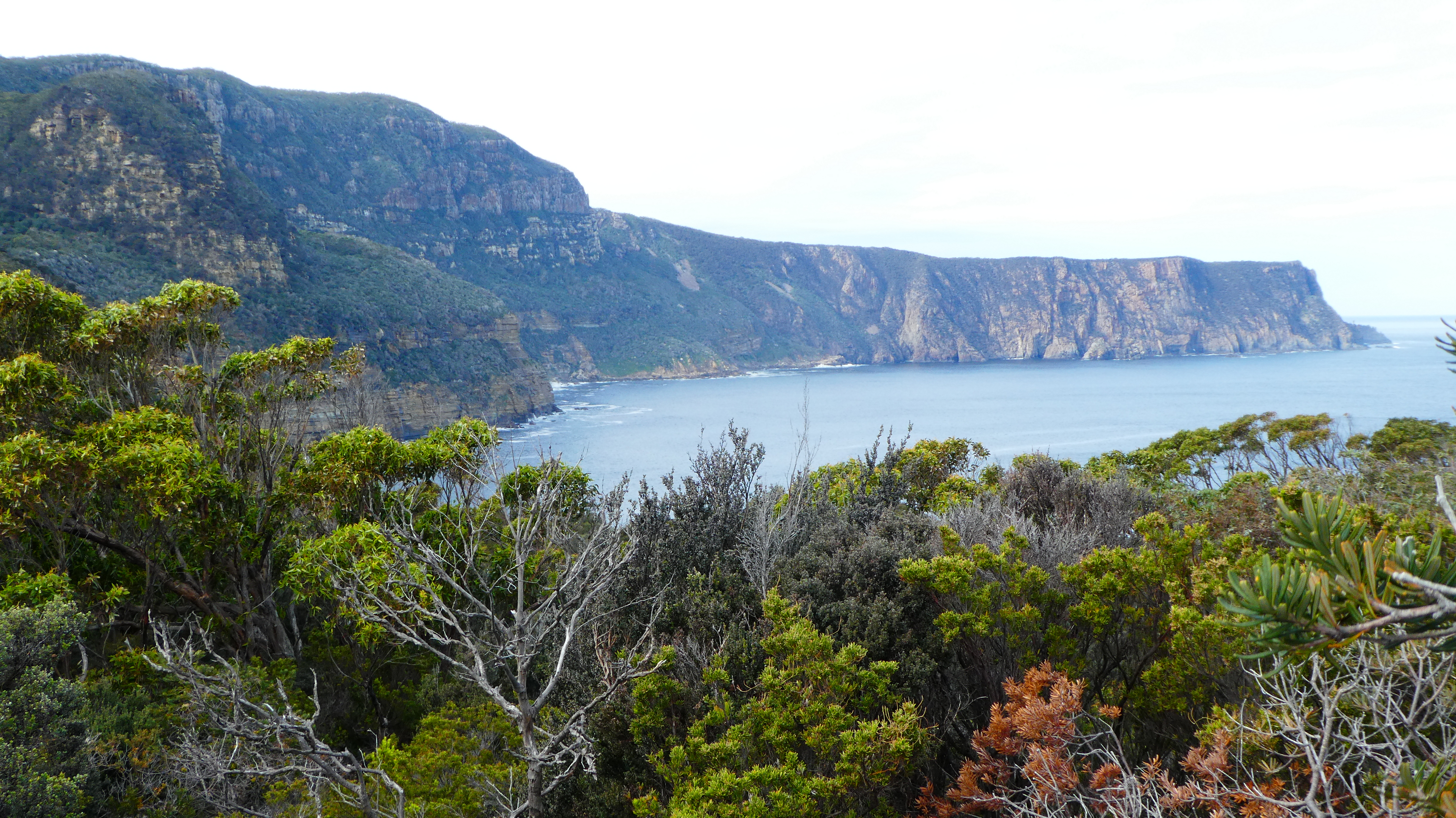 Tunnel Bay and Shipstern Bluff