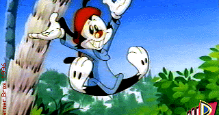 Wakko Leaps into the Scene