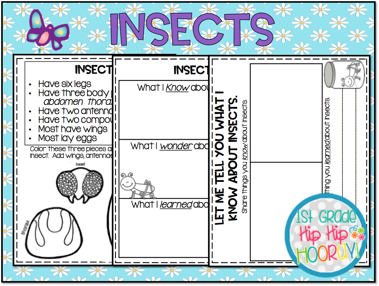 1st Grade Hip Hip Hooray!: Insects are so interesting!!