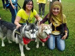 Koleksi Video Melayu Terbaik [HD]: Kempen Sentuh Anjing (I Want To ...