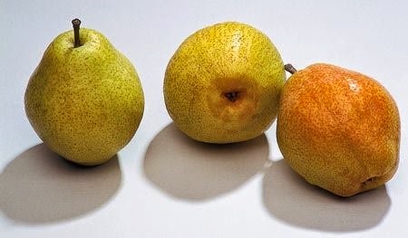 La Pera En Mexico: abril 2015