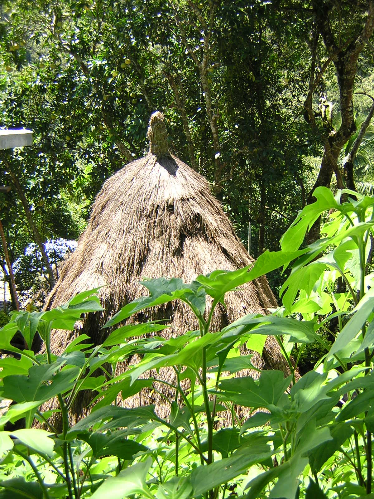 Blogs by Bboss: Igorot House @ Batad, Ifugao